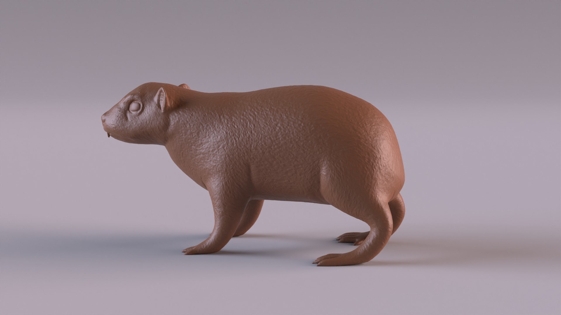 3D Hyrax - TurboSquid 2007012