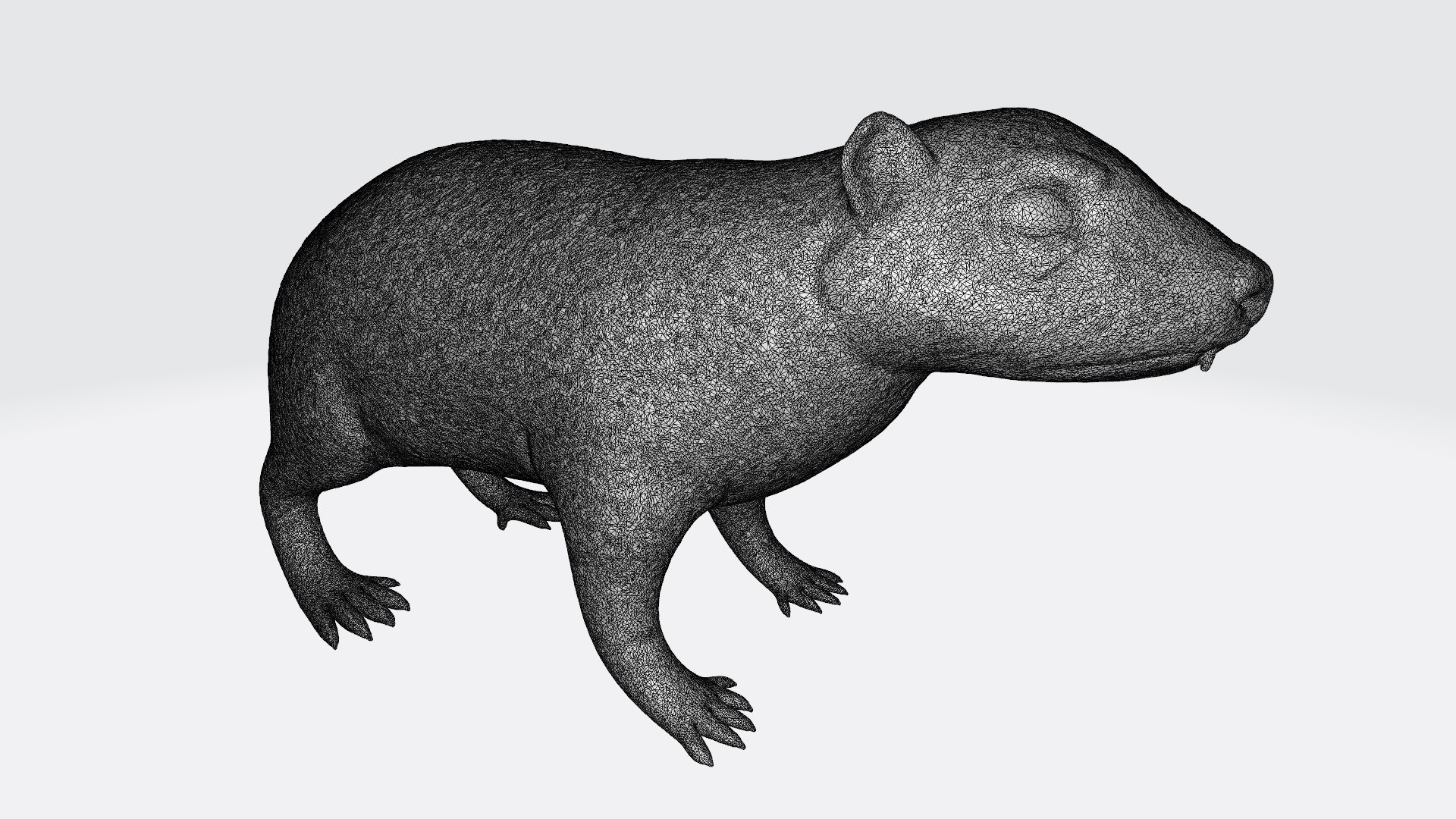 3D Hyrax - TurboSquid 2007012
