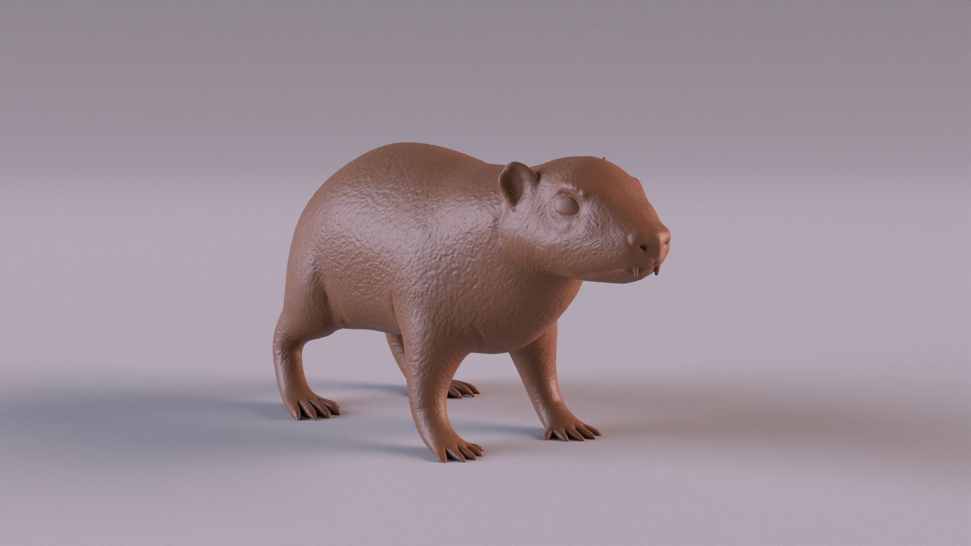 3D Hyrax - TurboSquid 2007012
