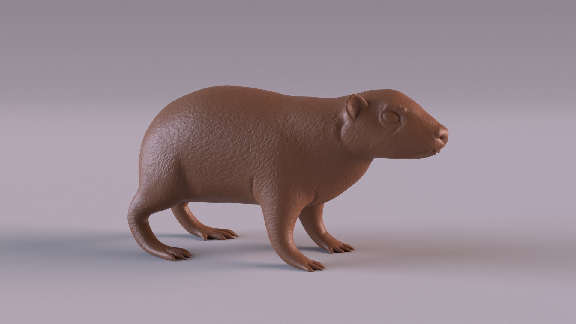 3D Hyrax - TurboSquid 2007012