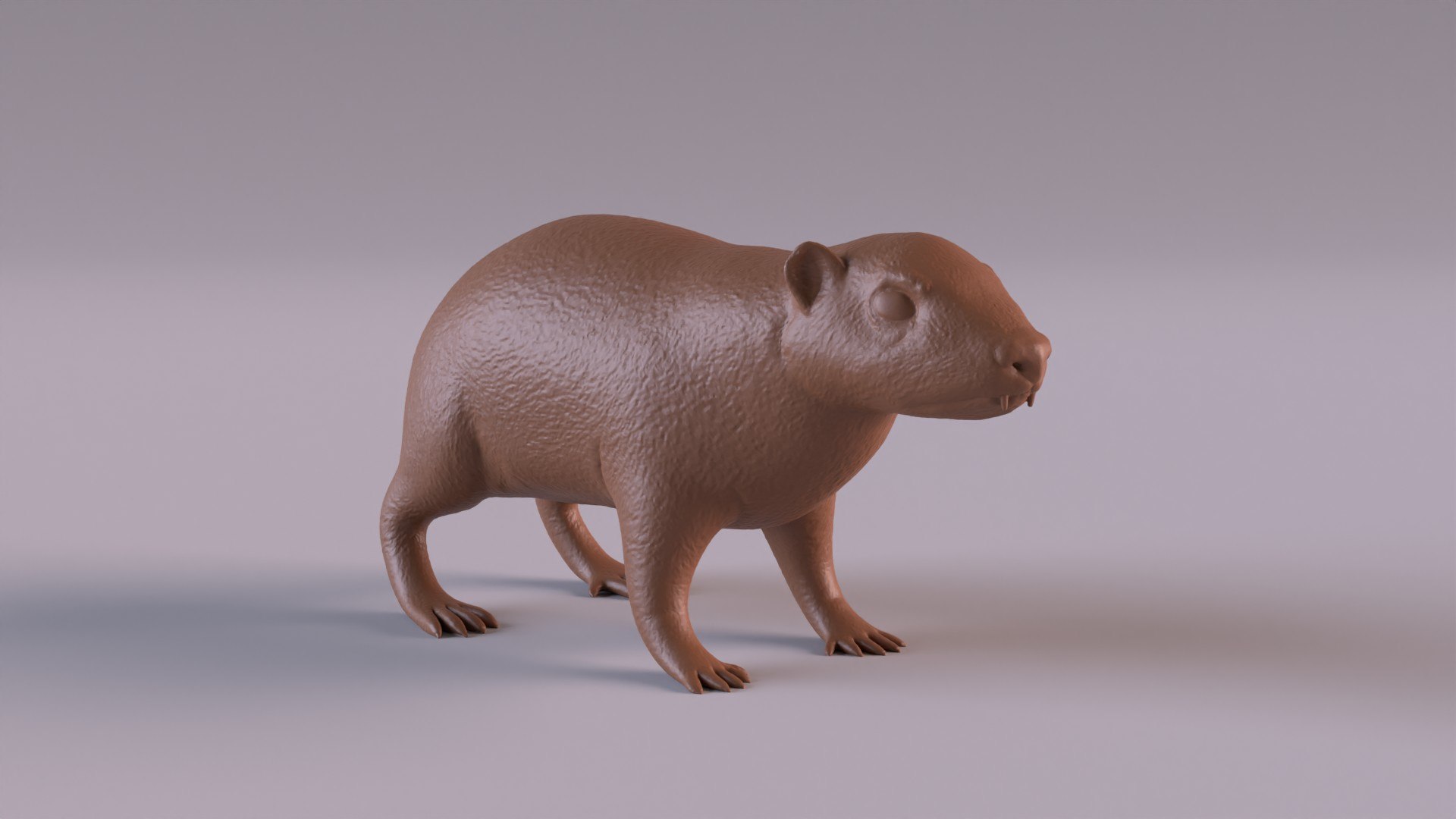 3D Hyrax - TurboSquid 2007012