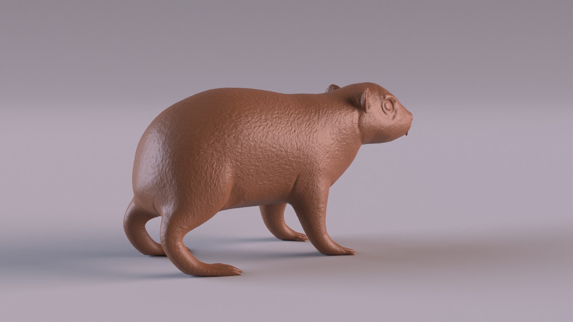 3D Hyrax - TurboSquid 2007012