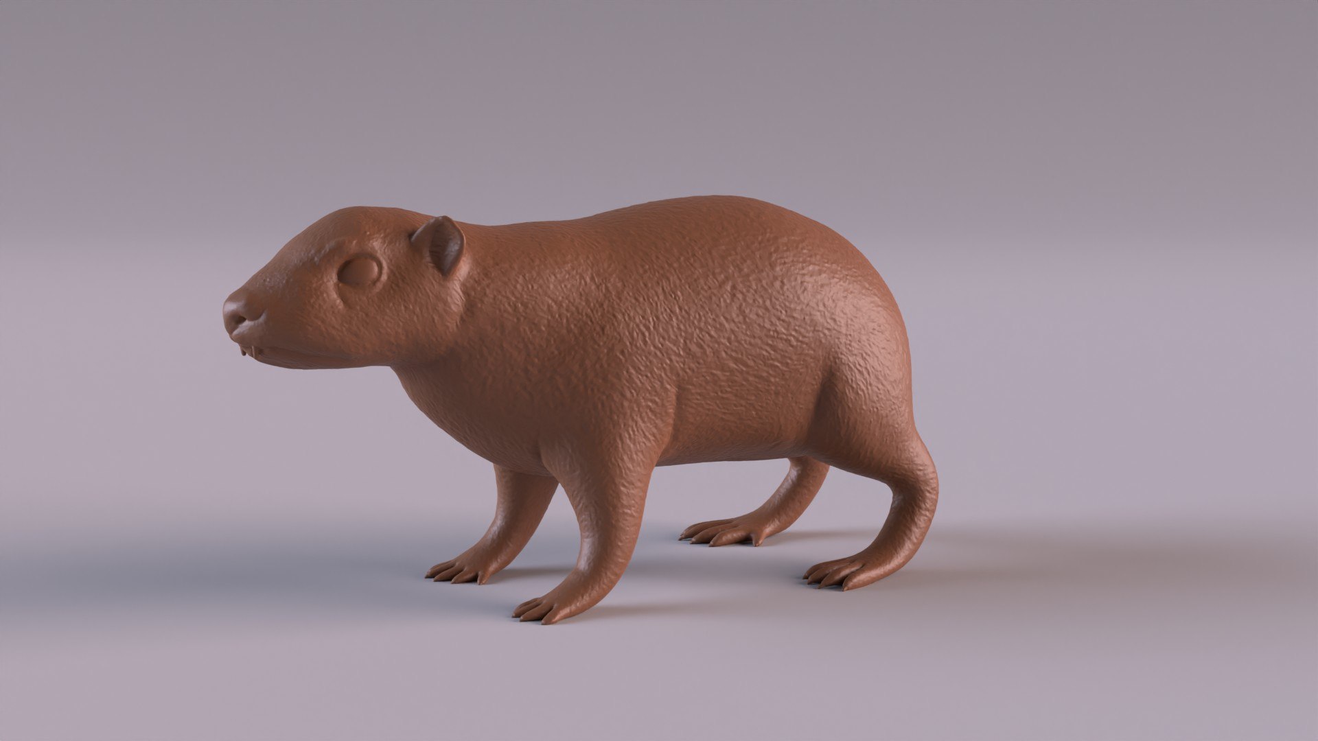 3D Hyrax - TurboSquid 2007012