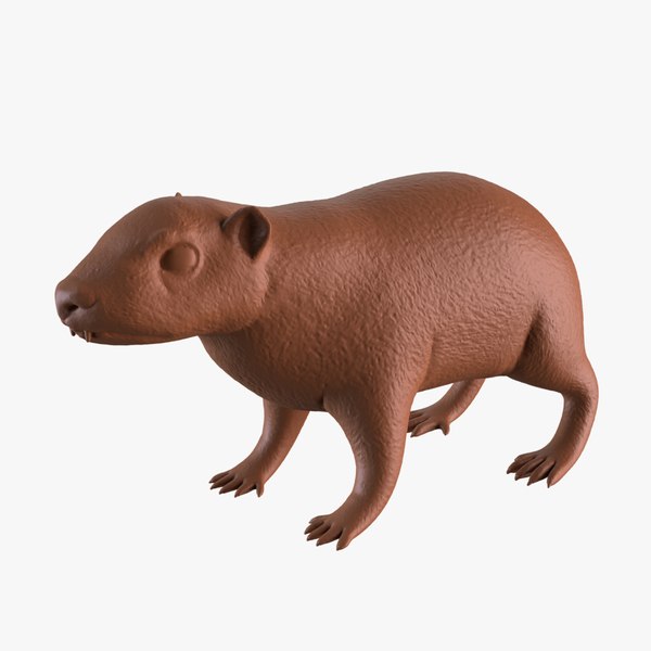 modelo 3d Hyrax - TurboSquid 2007012