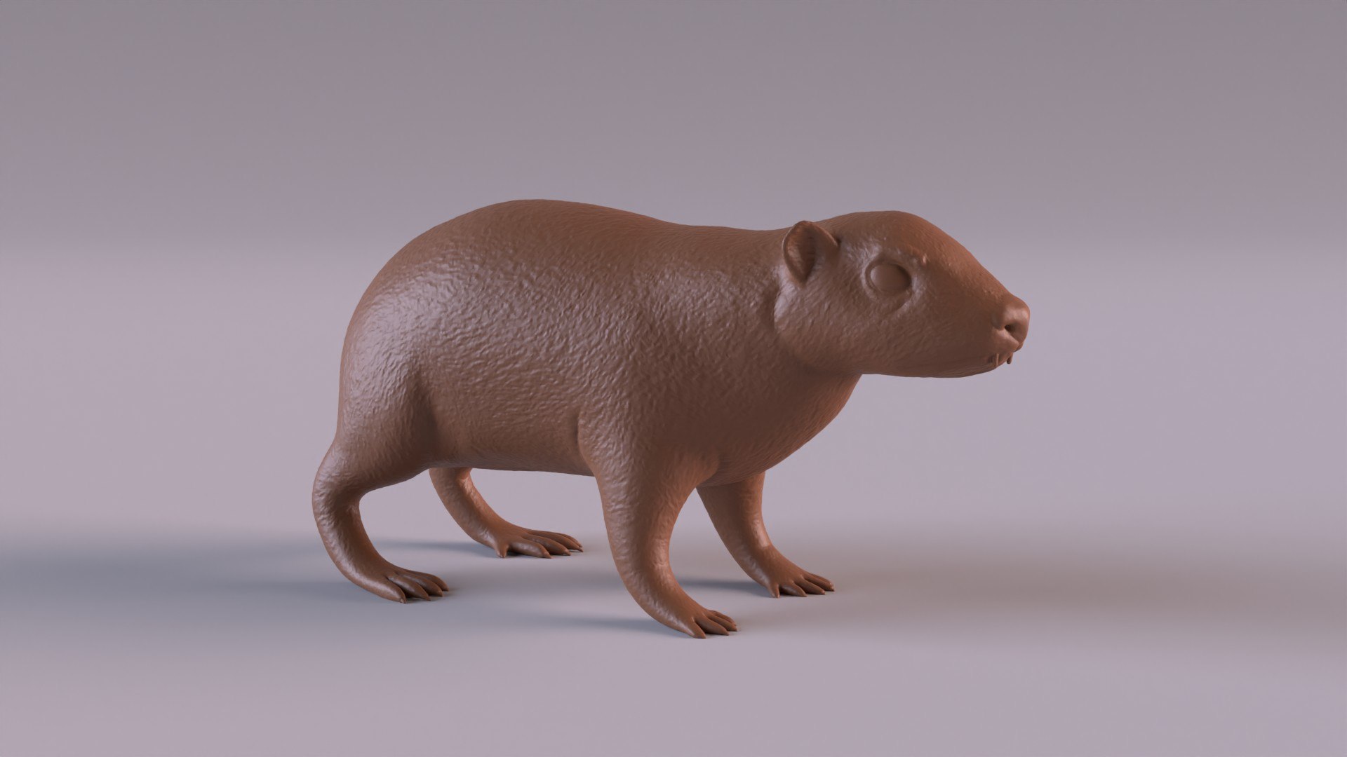 3D Hyrax - TurboSquid 2007012