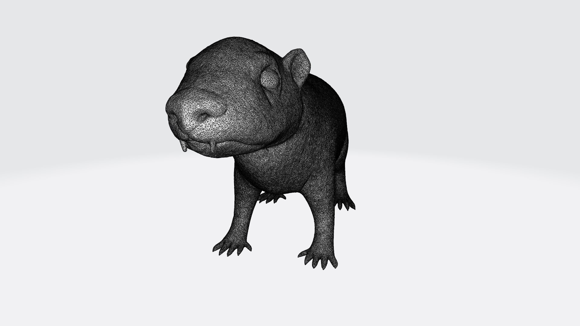 3D Hyrax - TurboSquid 2007012