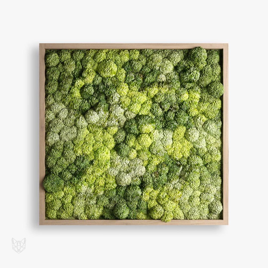 3d Panels Moss