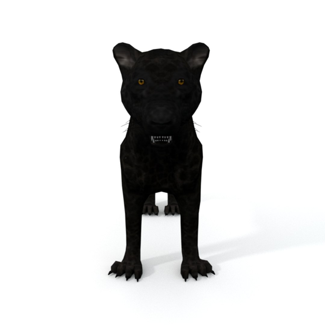 3D Panther Model - TurboSquid 1318855