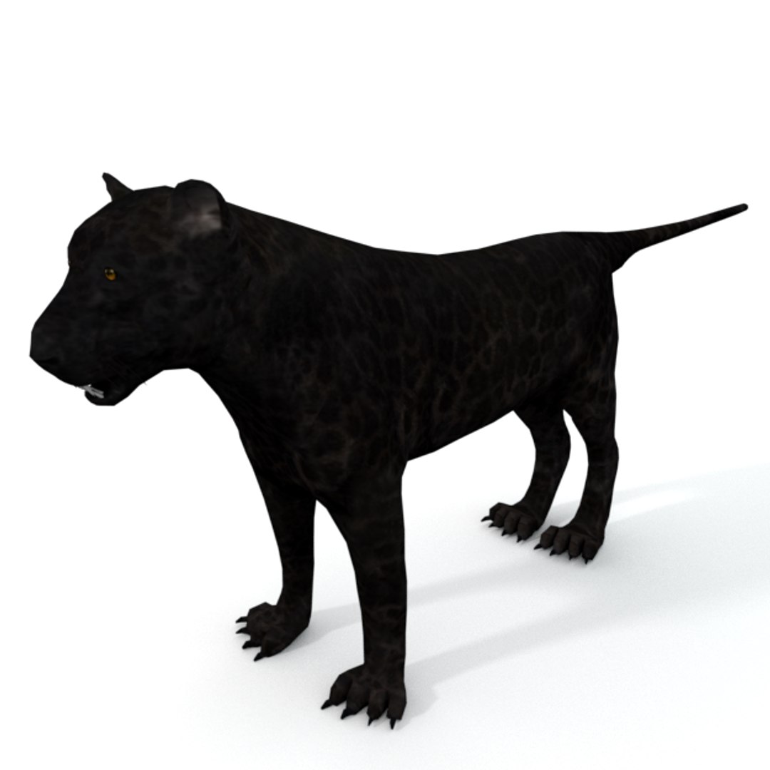 3D Panther Model - TurboSquid 1318855