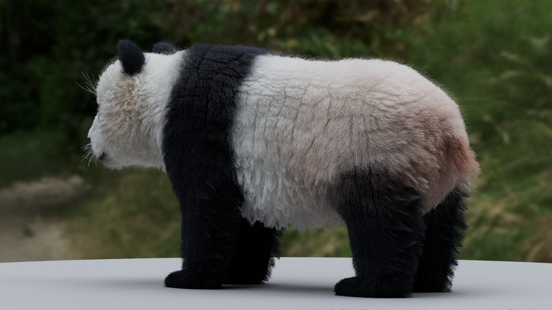 3D Panda Model - TurboSquid 2055473