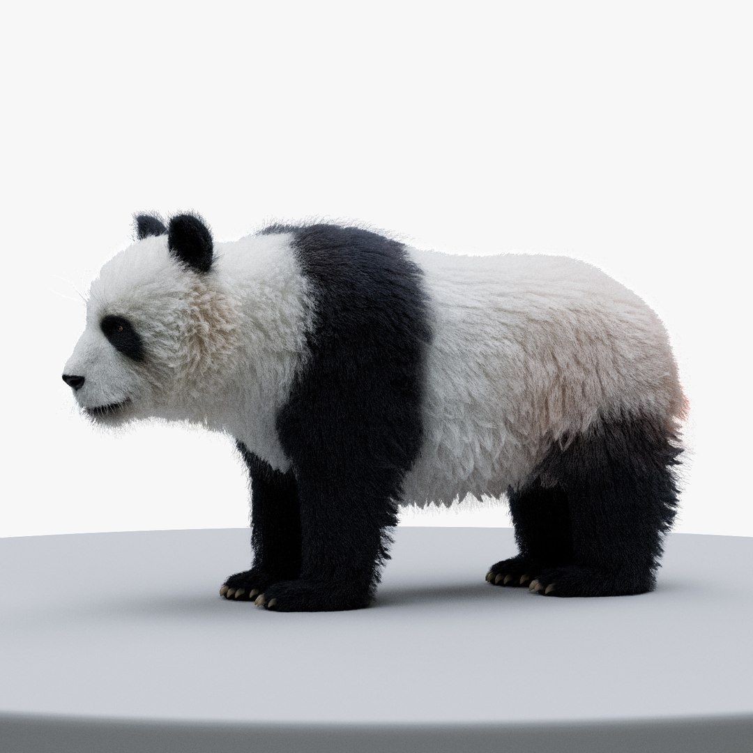 3D Panda model - TurboSquid 2055473
