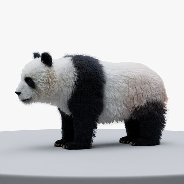 Panda fur modeled 3D model - TurboSquid 1535958