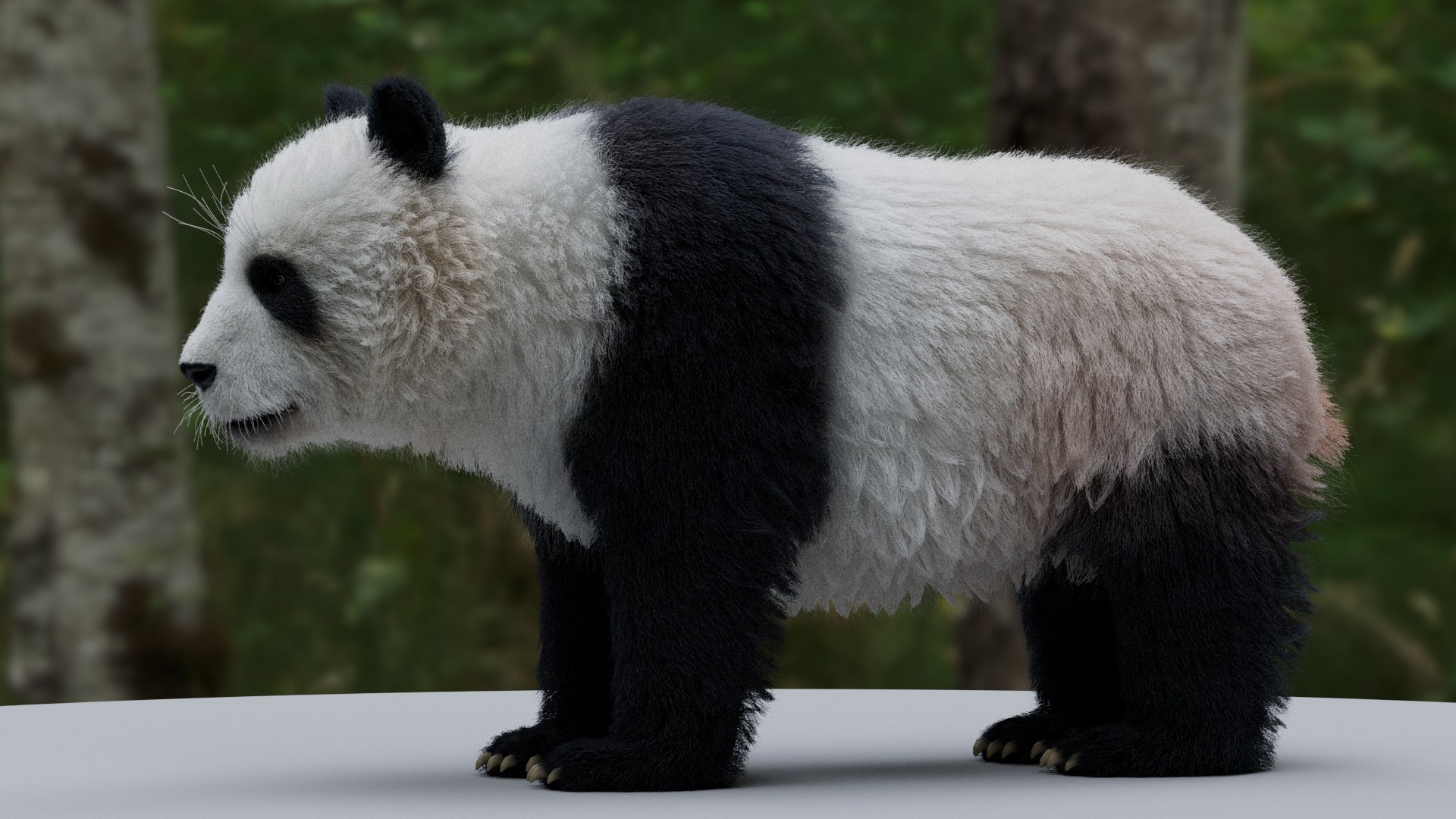 3D Panda Model - TurboSquid 2055473