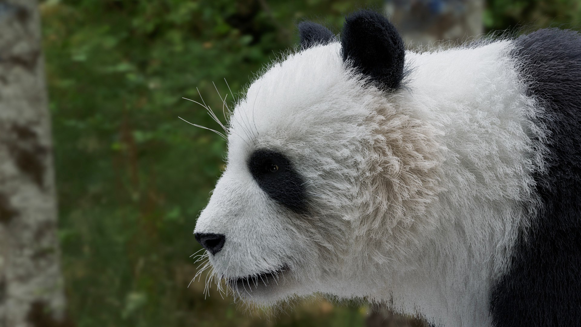 3D Panda Model - TurboSquid 2055473