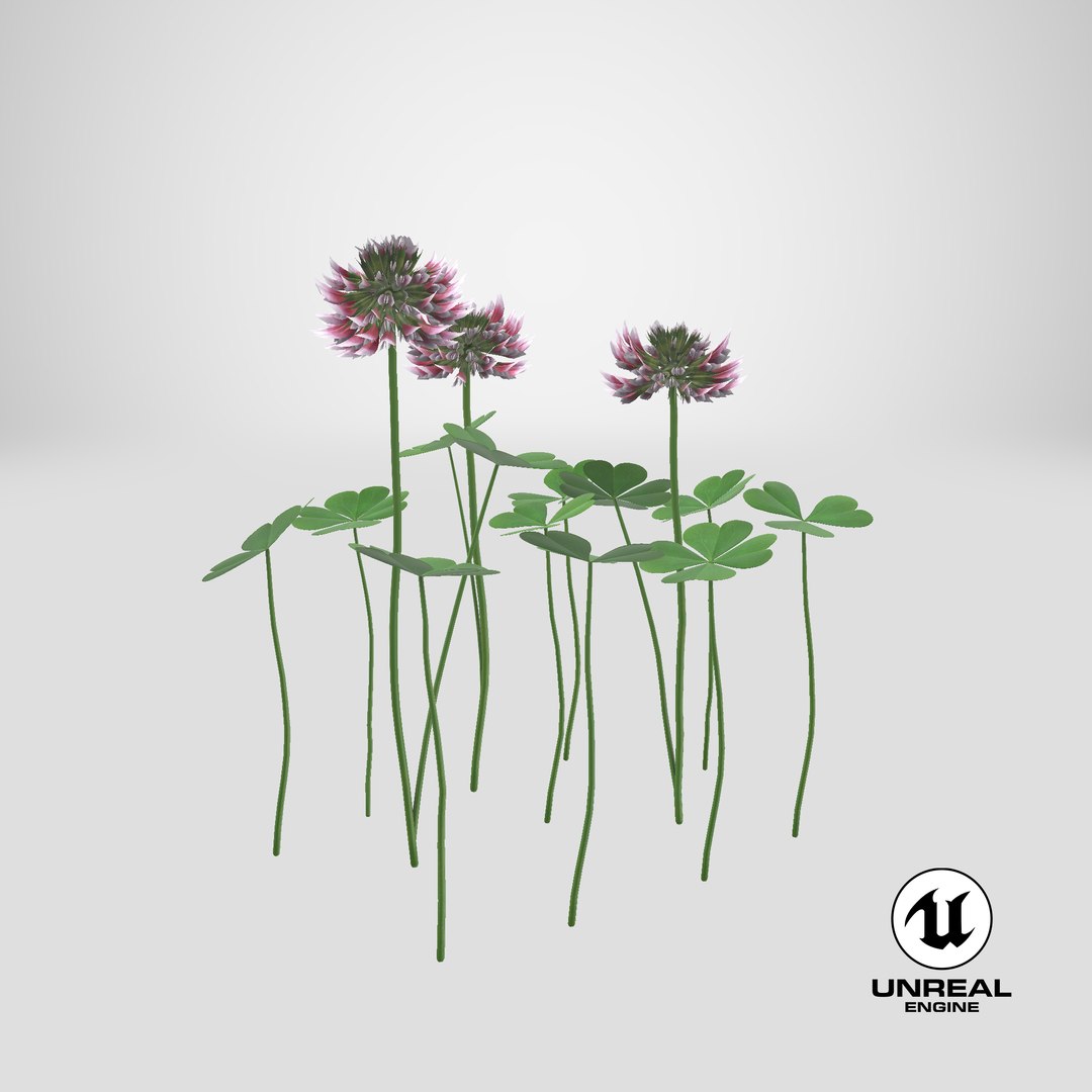 3D blooming red clover field model - TurboSquid 1577134