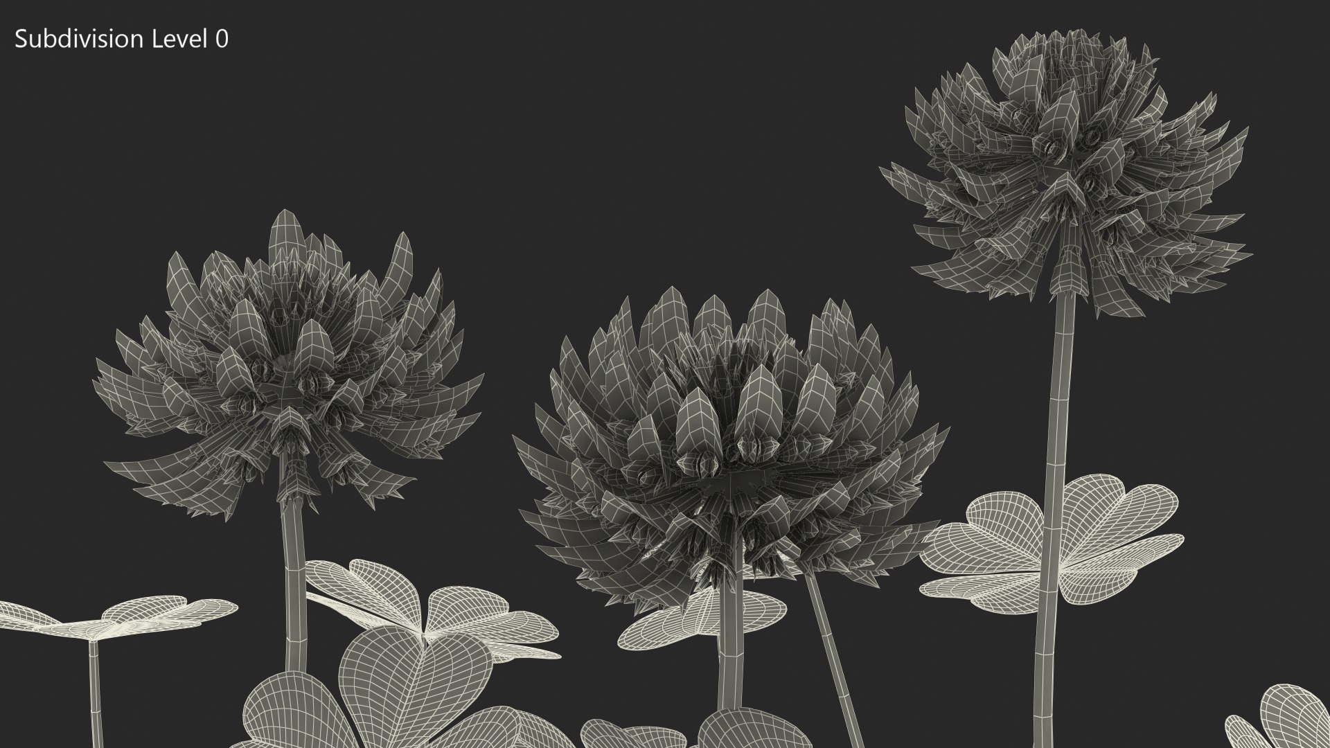 3D blooming red clover field model - TurboSquid 1577134