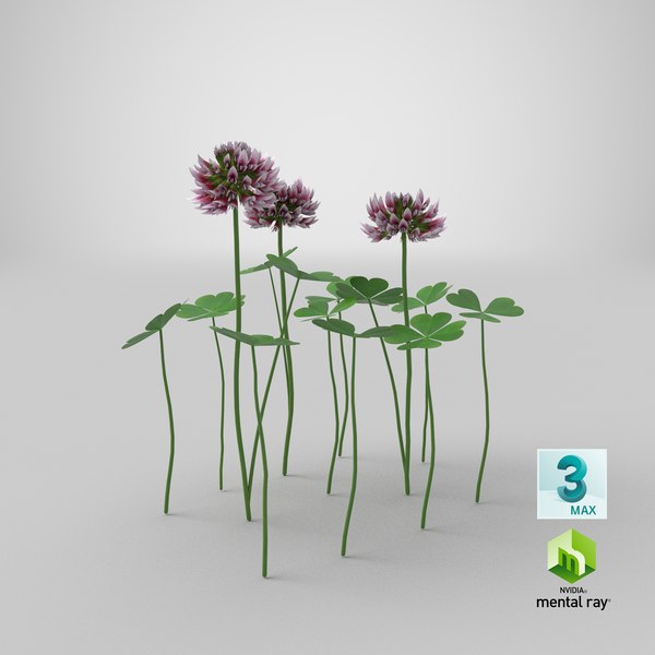 3D blooming red clover field model - TurboSquid 1577134