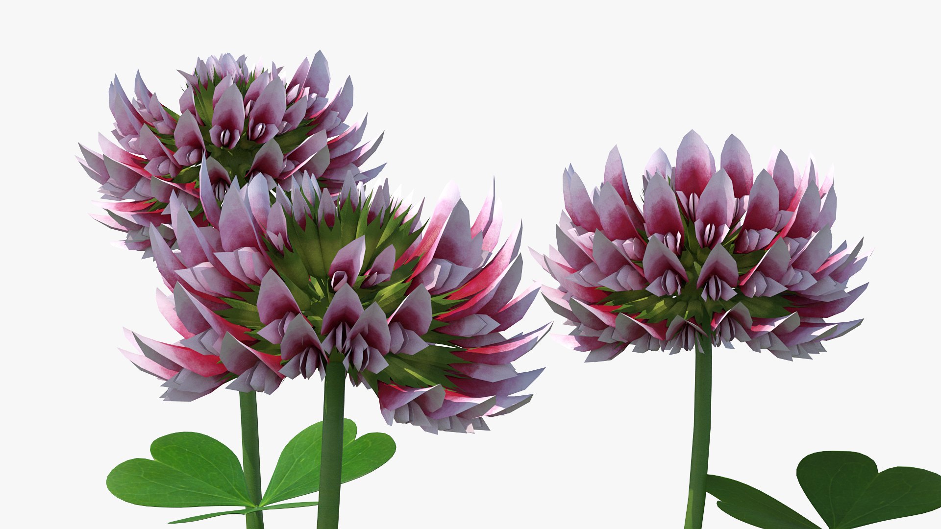 3D blooming red clover field model - TurboSquid 1577134