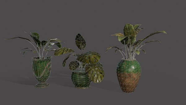 Flowering Plants 3D Studio Project Models for Download | TurboSquid