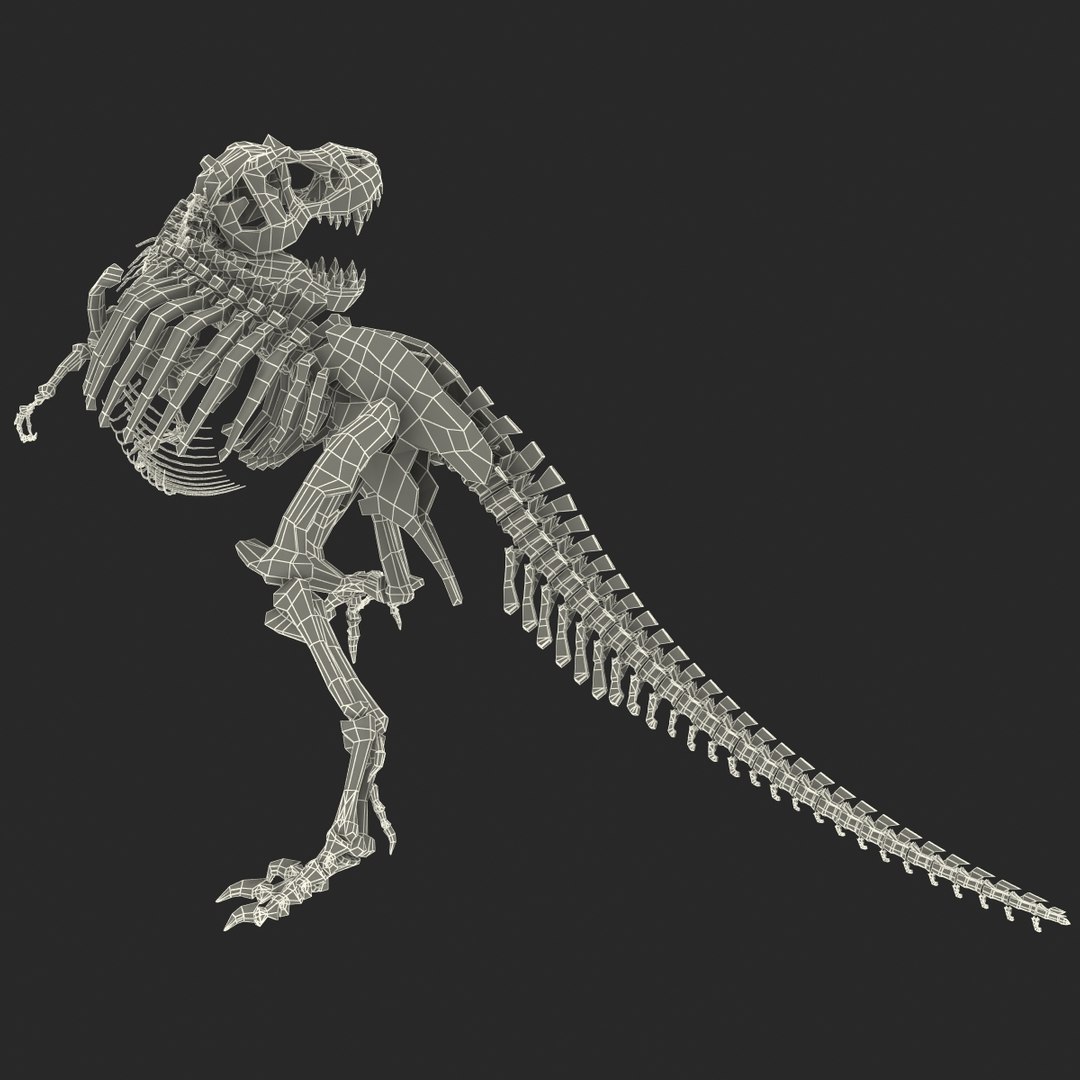 dinosaur t-rex bones skeleton lwo