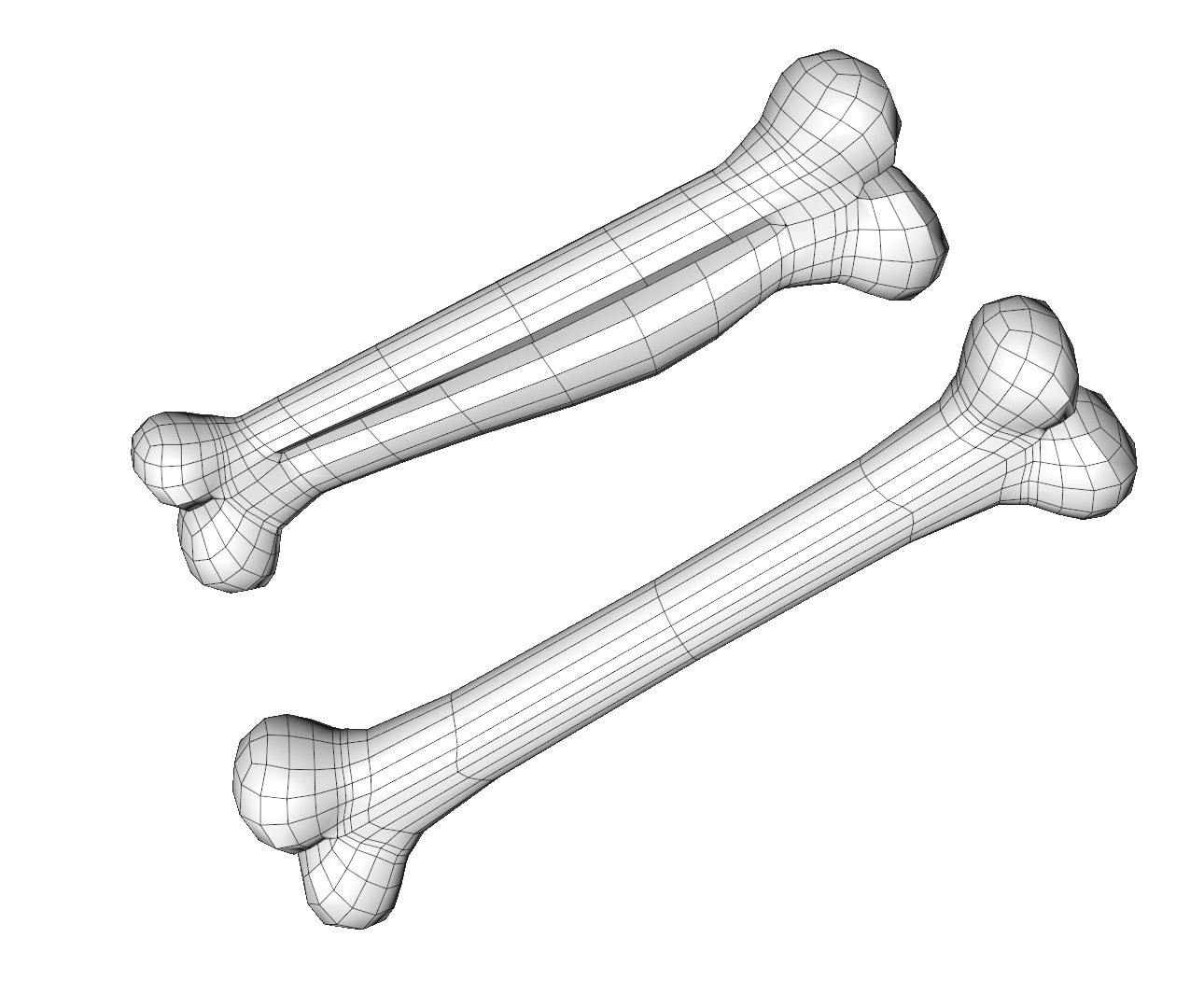 Human Bones 3D Model - TurboSquid 1493673