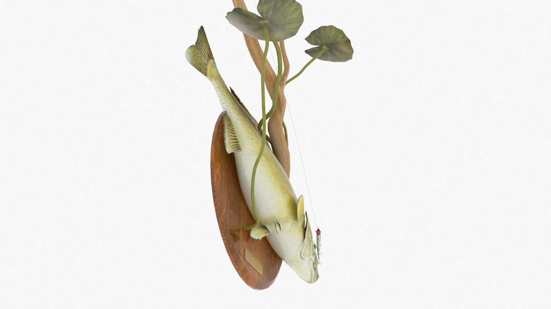 Walleye Fish Mount 3D Model - TurboSquid 1821124