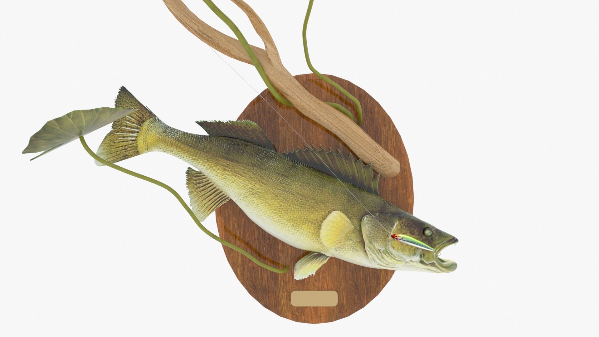 Walleye Fish Mount 3D Model - TurboSquid 1821124
