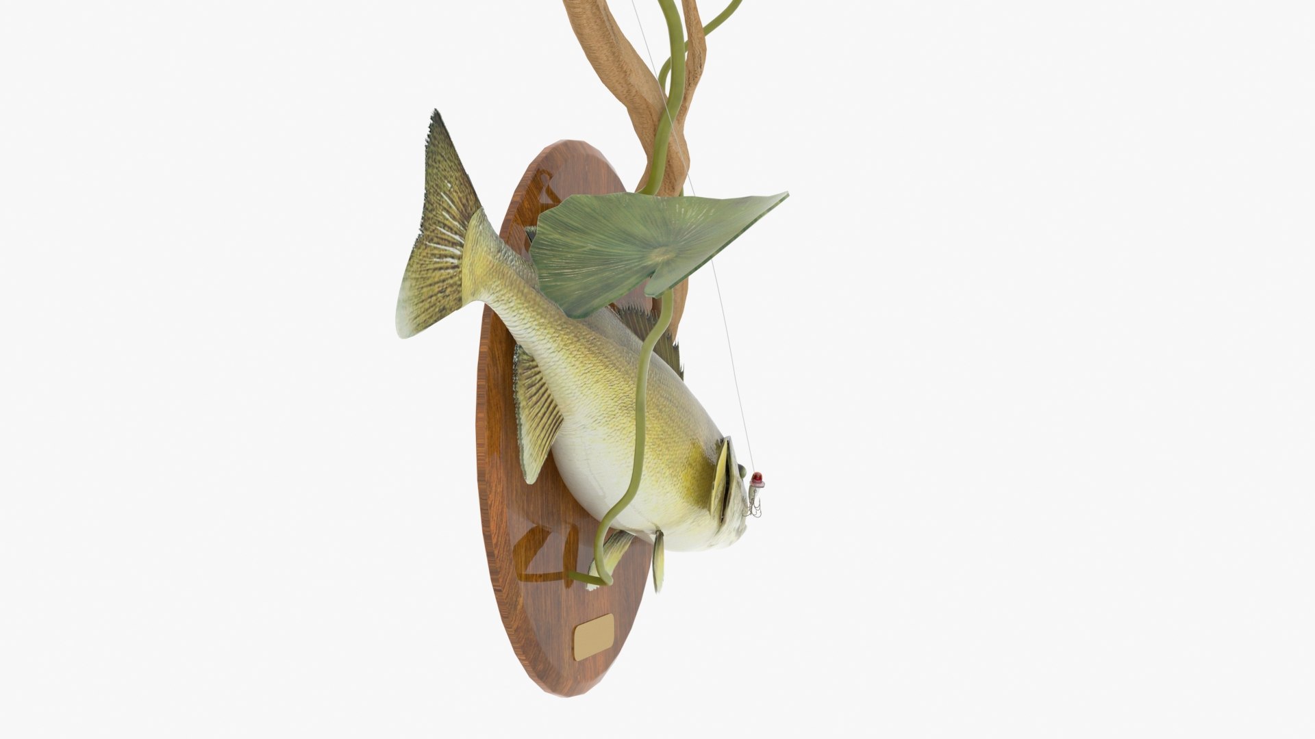 Walleye Fish Mount 3D Model - TurboSquid 1821124