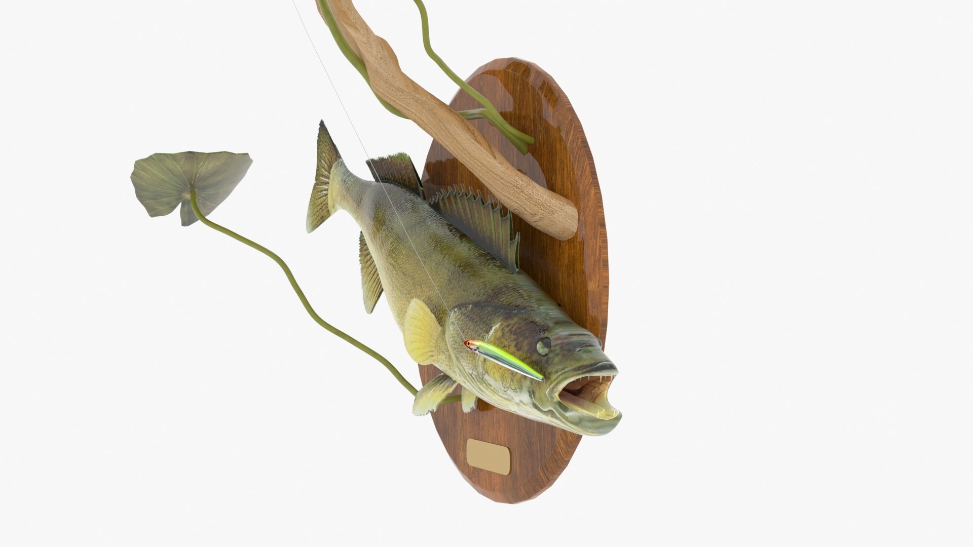Walleye Fish Mount 3D Model - TurboSquid 1821124