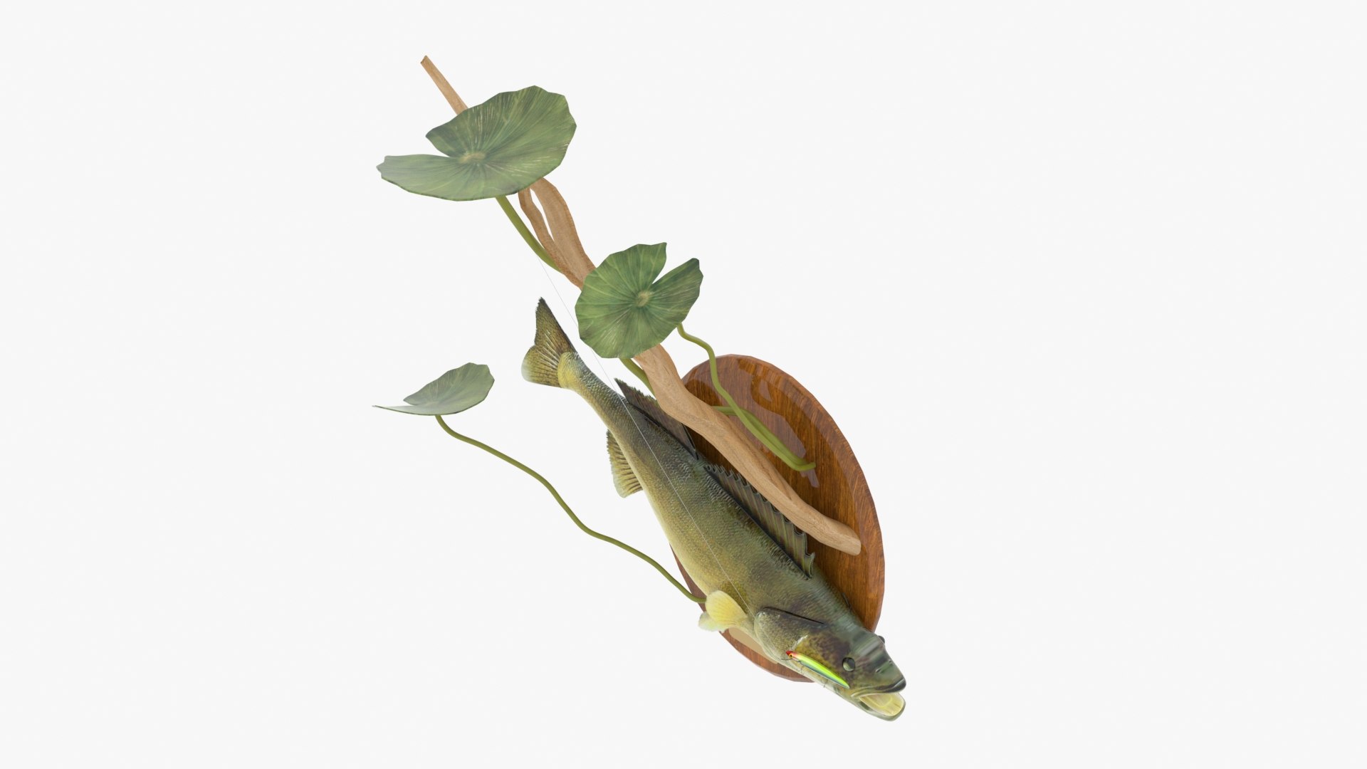 Walleye Fish Mount 3D Model - TurboSquid 1821124