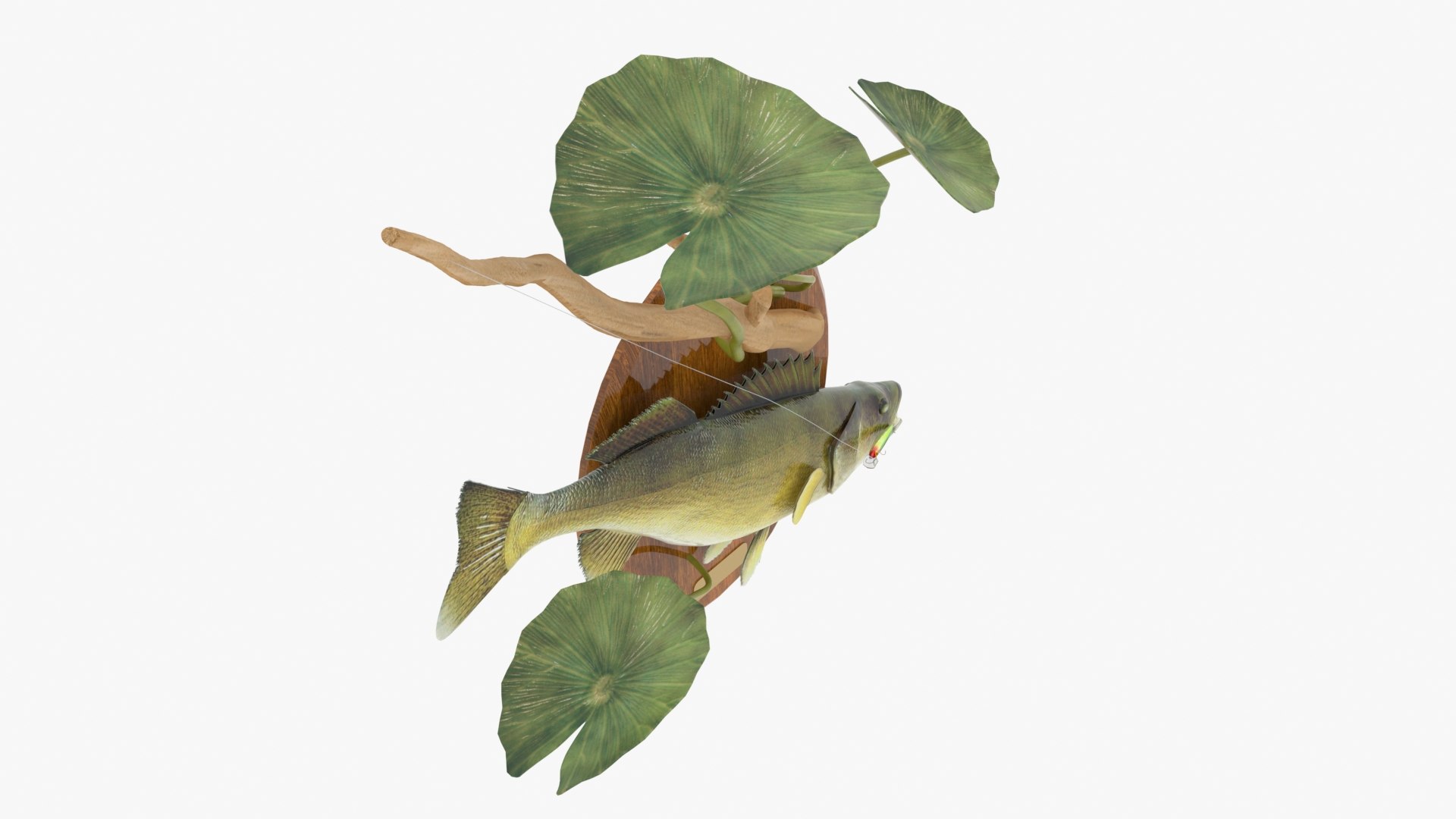 Walleye Fish Mount 3D Model - TurboSquid 1821124