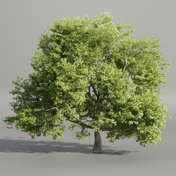 modelo 3d Roble para paisajes vol 198-Blender-3dmodel - TurboSquid 2173392