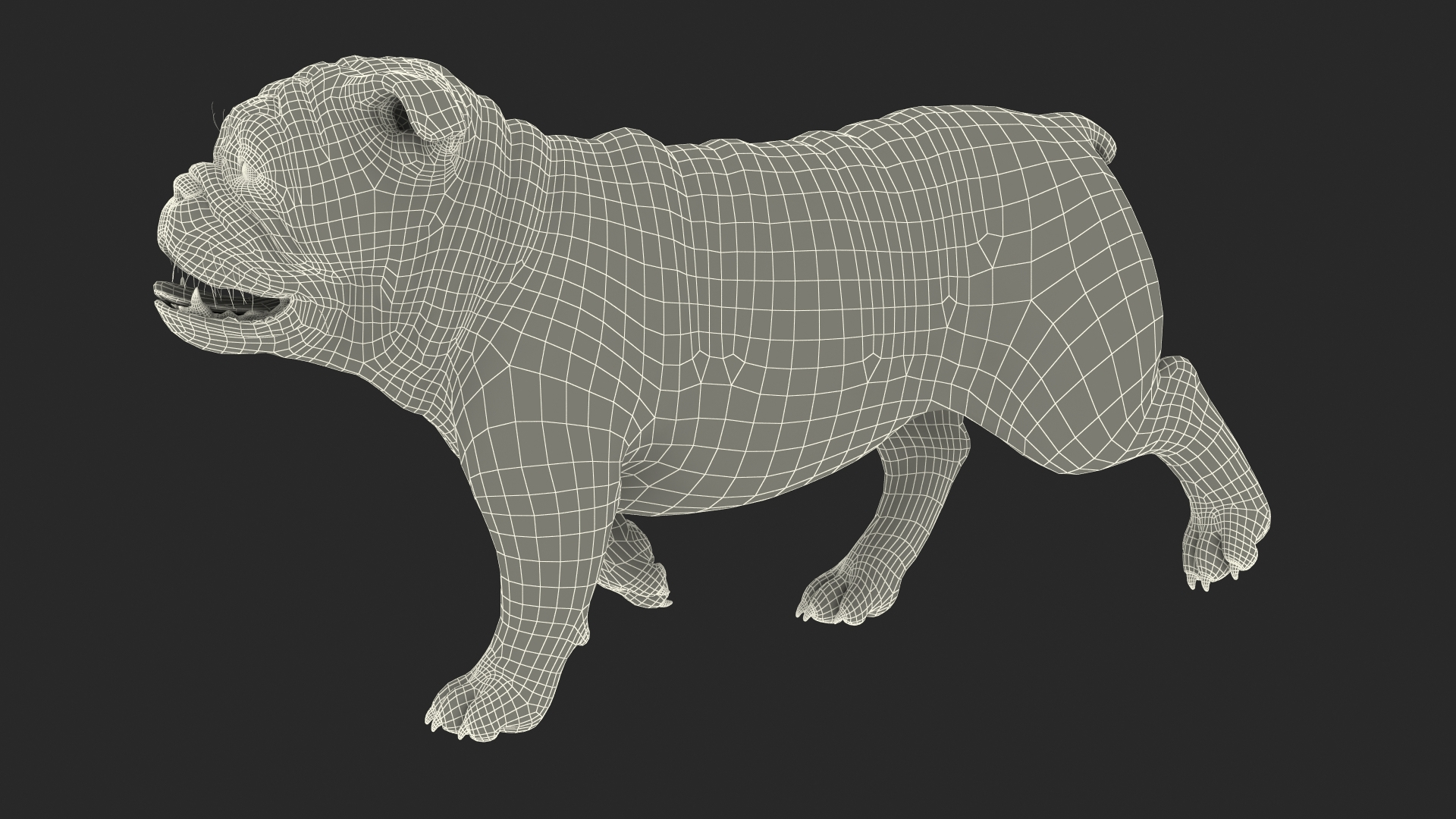Walking Bulldog Fur 3D Model - TurboSquid 2180126