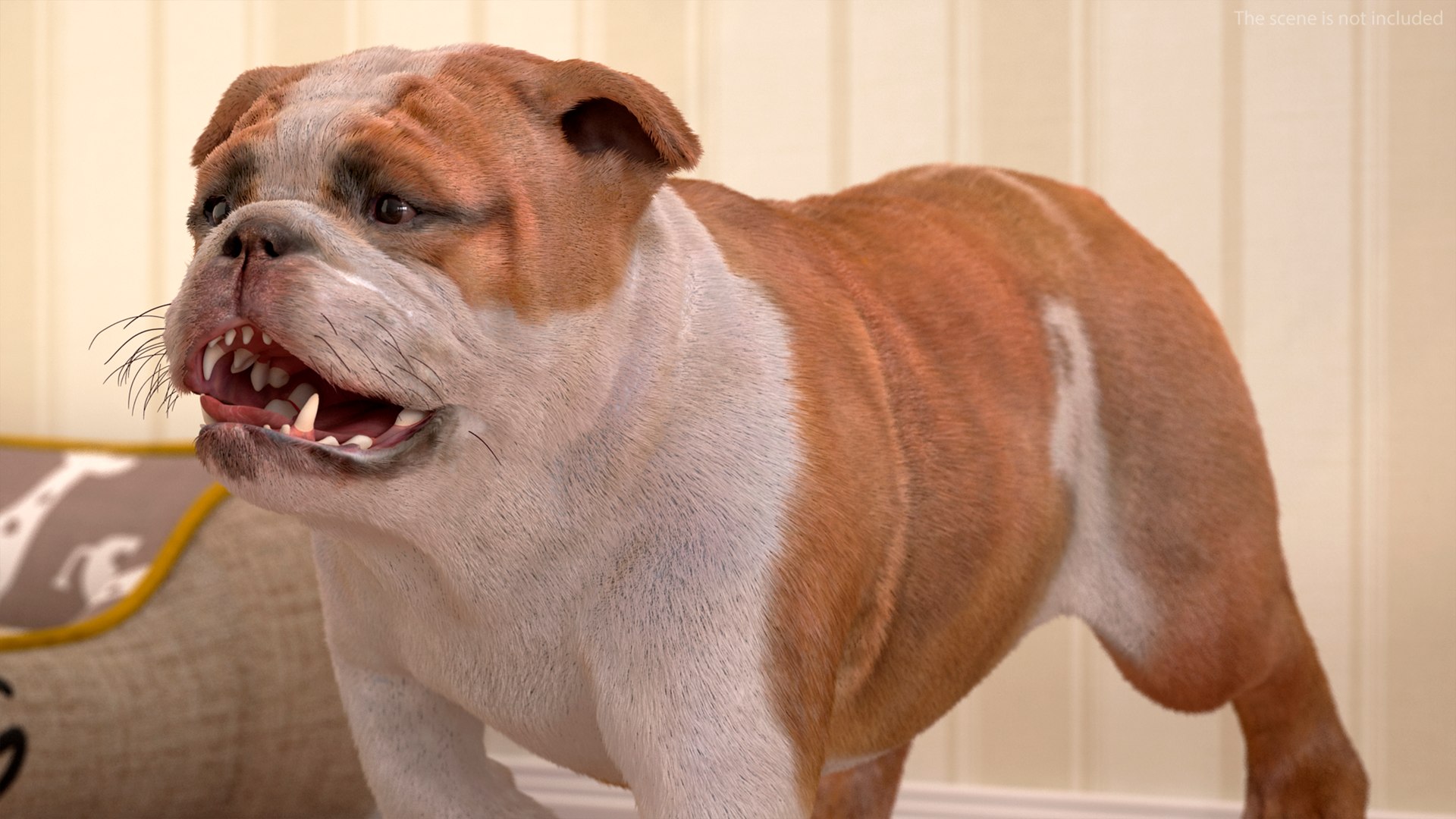 Walking Bulldog Fur 3D Model - TurboSquid 2180126