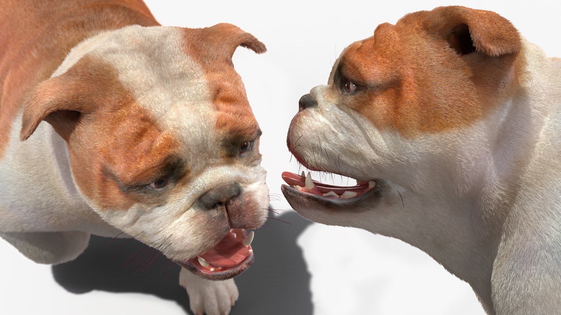 Walking Bulldog Fur 3D Model - TurboSquid 2180126