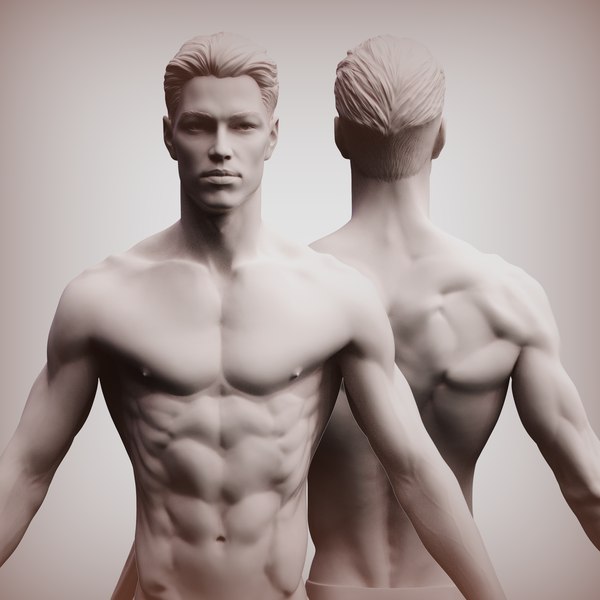Free 3D Character-Hair Models | TurboSquid