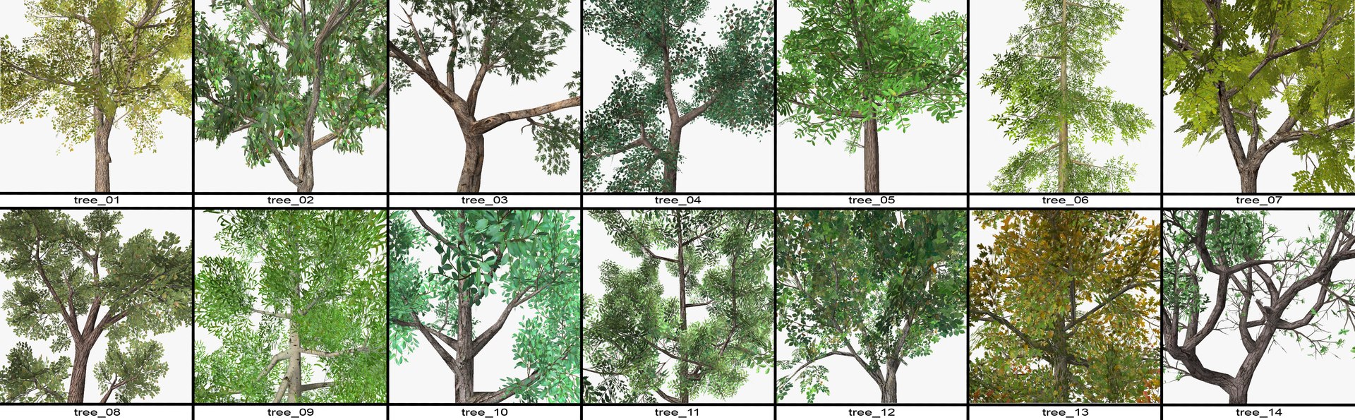 Tree package 14 model - TurboSquid 1413422