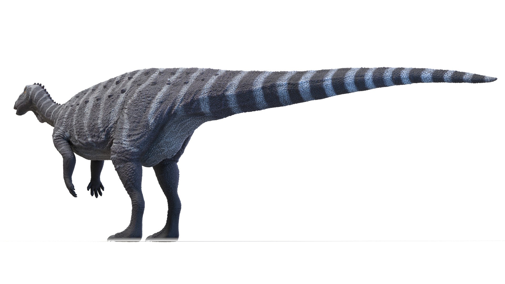 Thescelosaurus Static 3D Model - TurboSquid 1919122