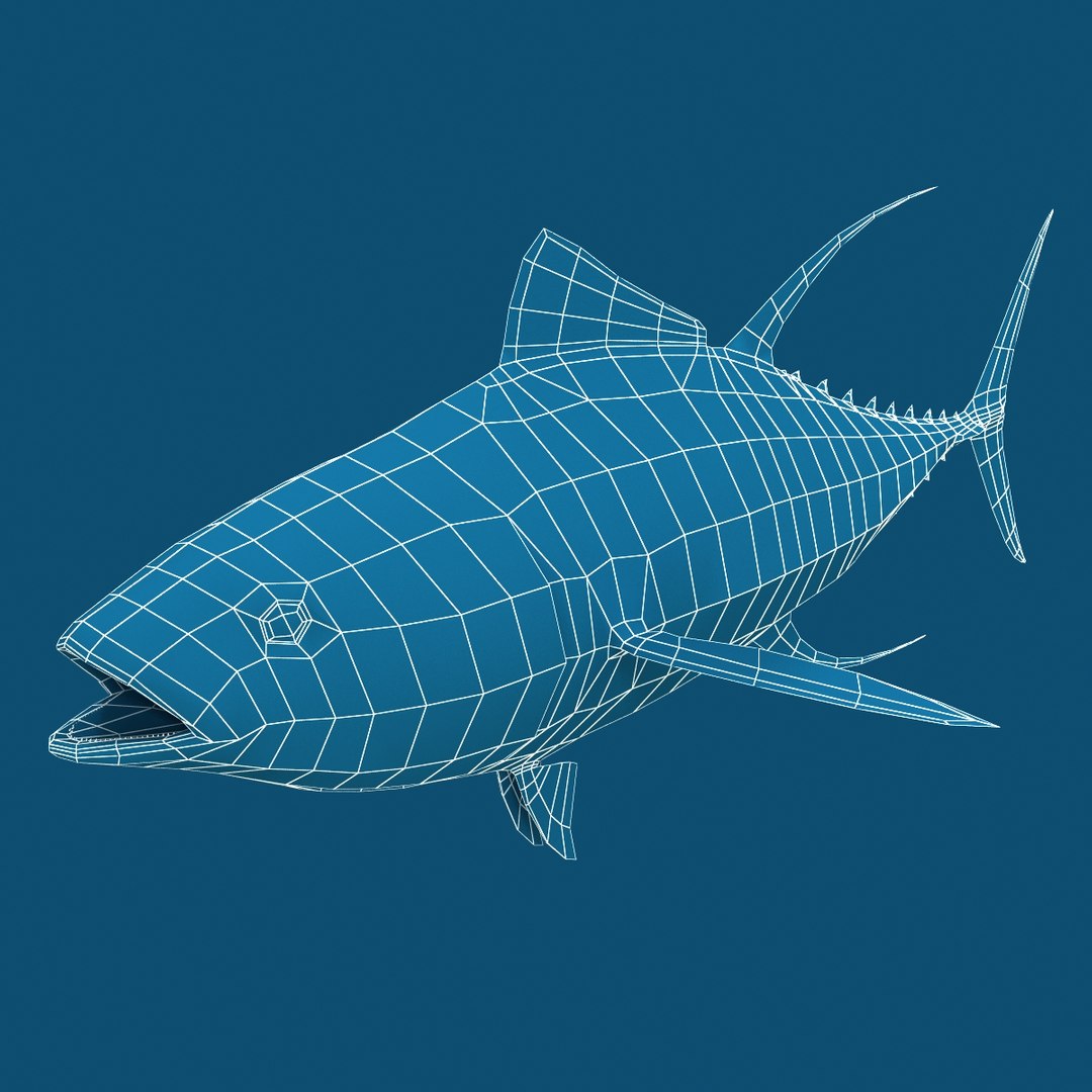3d Model Yellowfin Tuna Fish