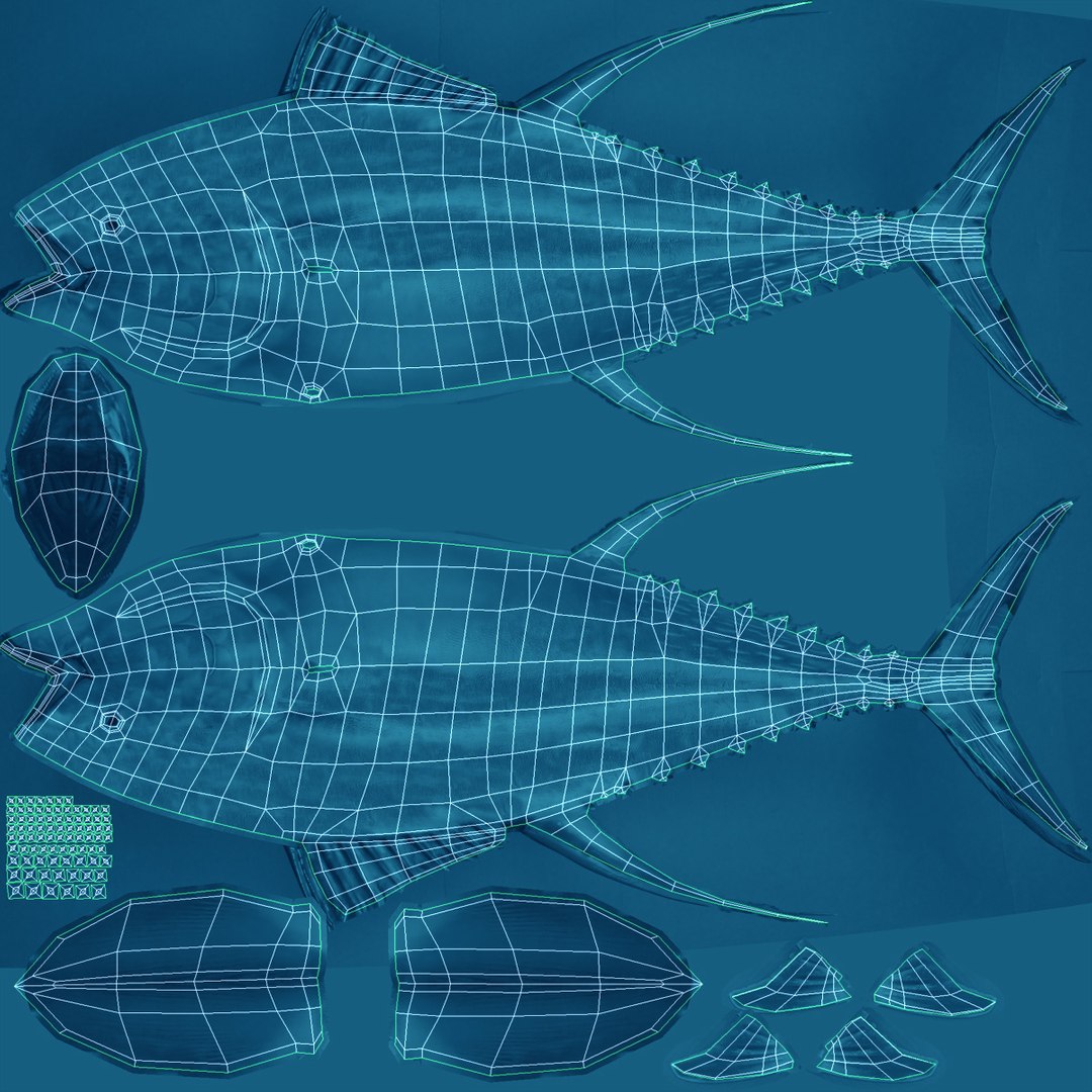 3d Model Yellowfin Tuna Fish