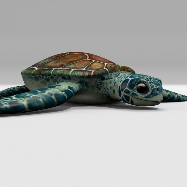 modelo 3d Tortugas - TurboSquid 963750