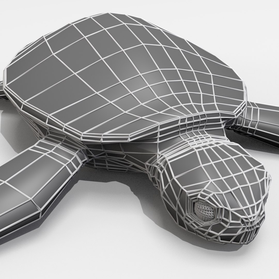 3d Turtle