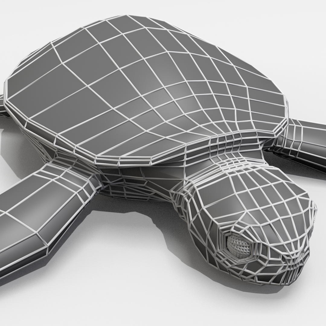 3d turtle