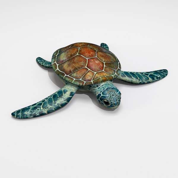modelo 3d Tortugas - TurboSquid 963750