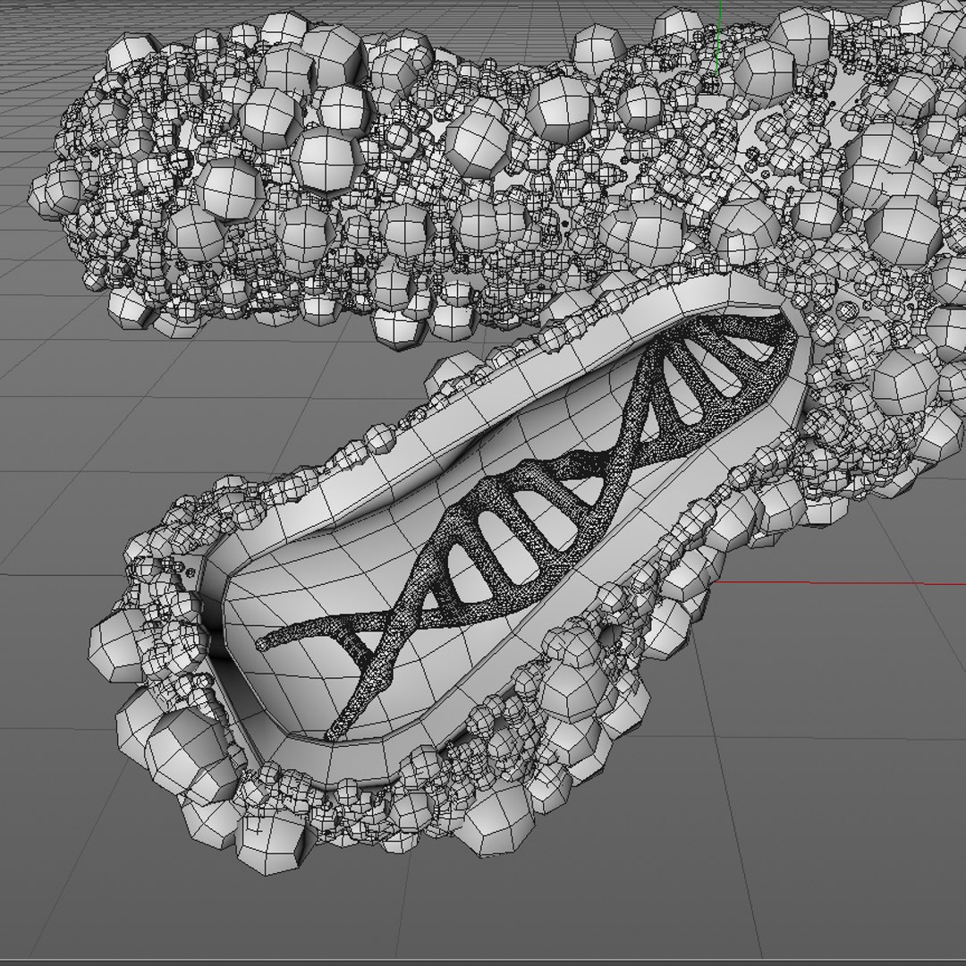Dna Model - TurboSquid 1218314