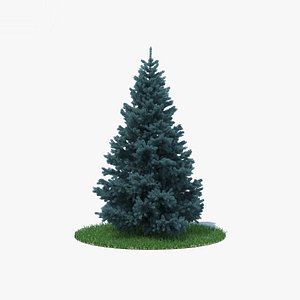 Tree 3D Models for Download | TurboSquid