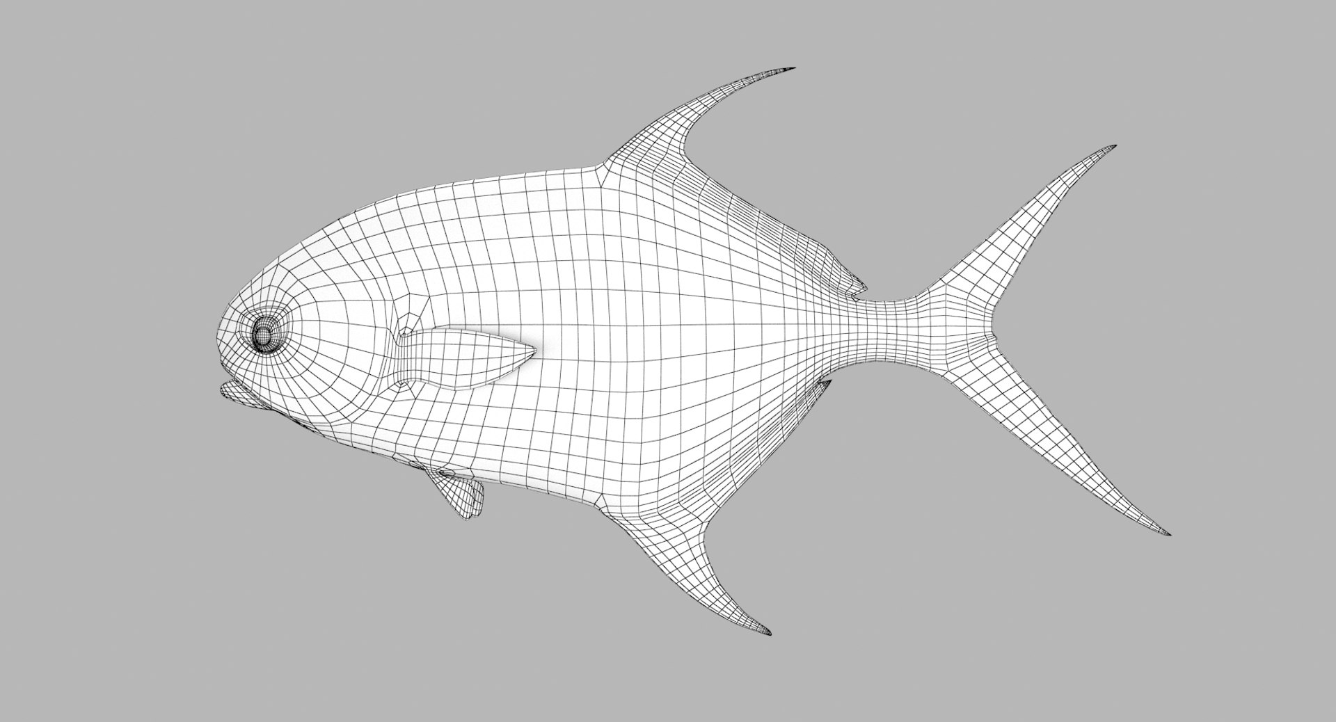 3D Permit Fish - TurboSquid 1282782