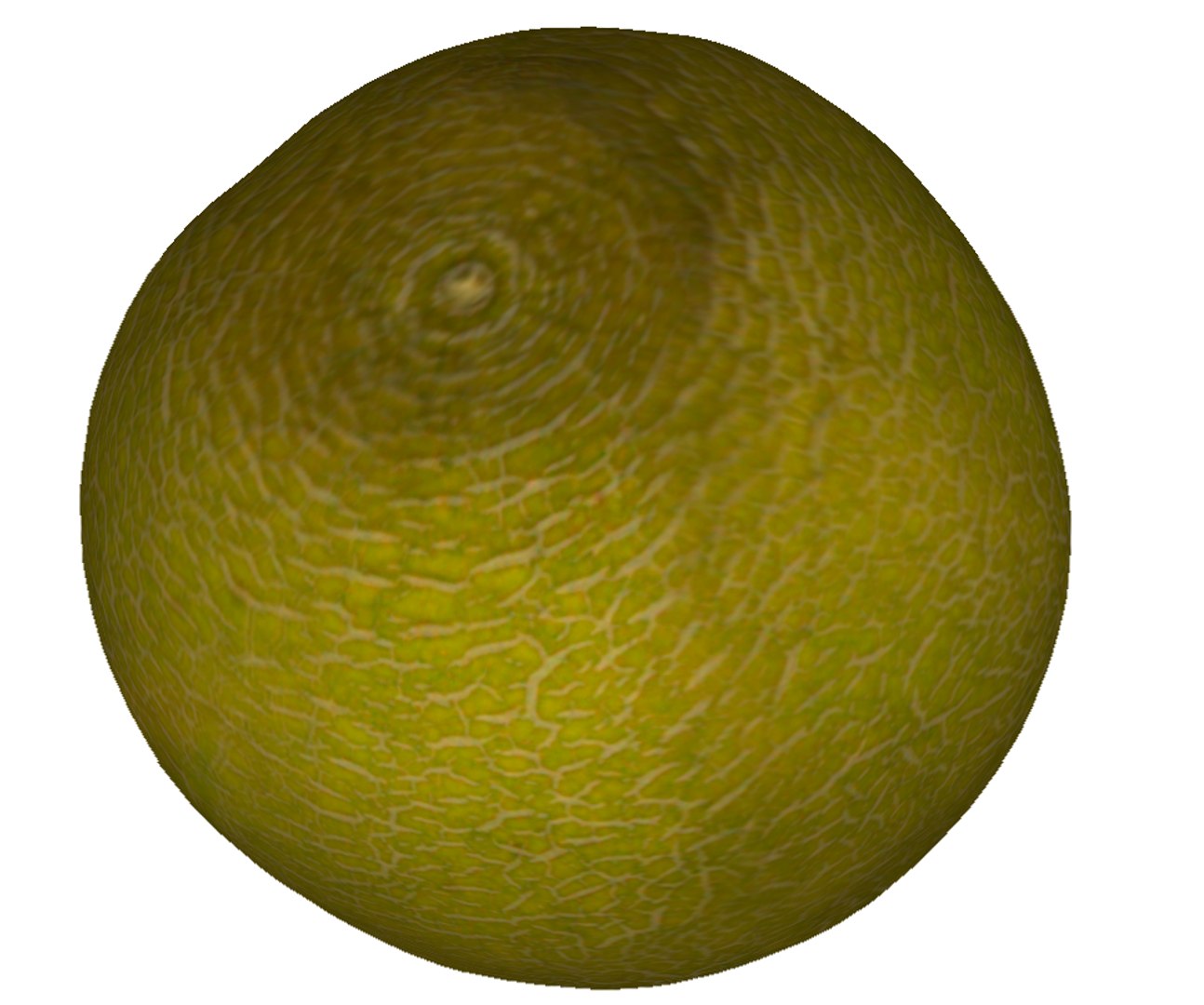3D model melon fruits - TurboSquid 1584425