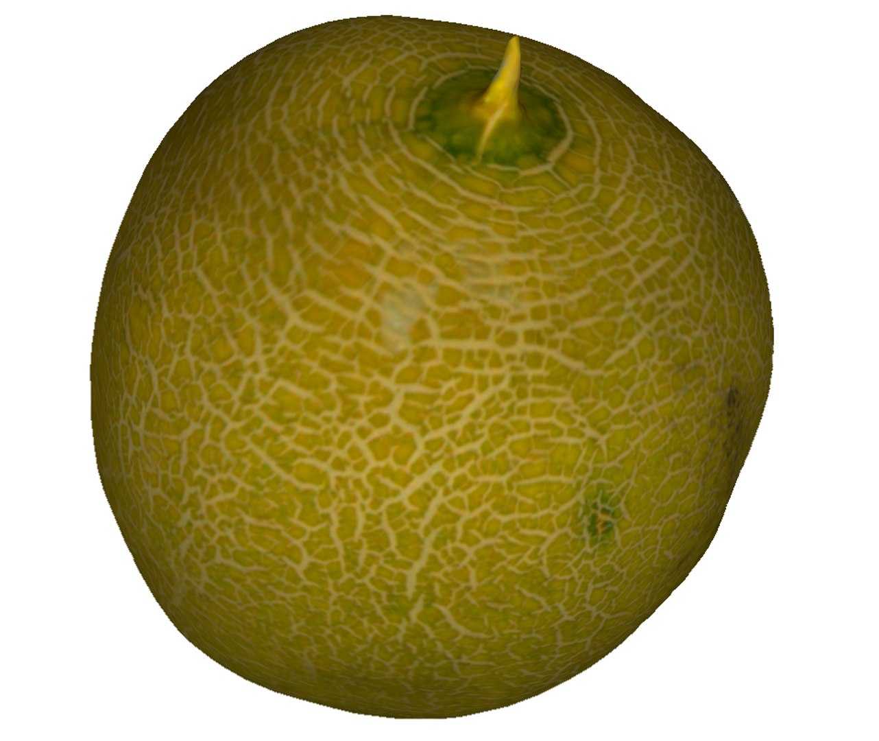 3D model melon fruits - TurboSquid 1584425