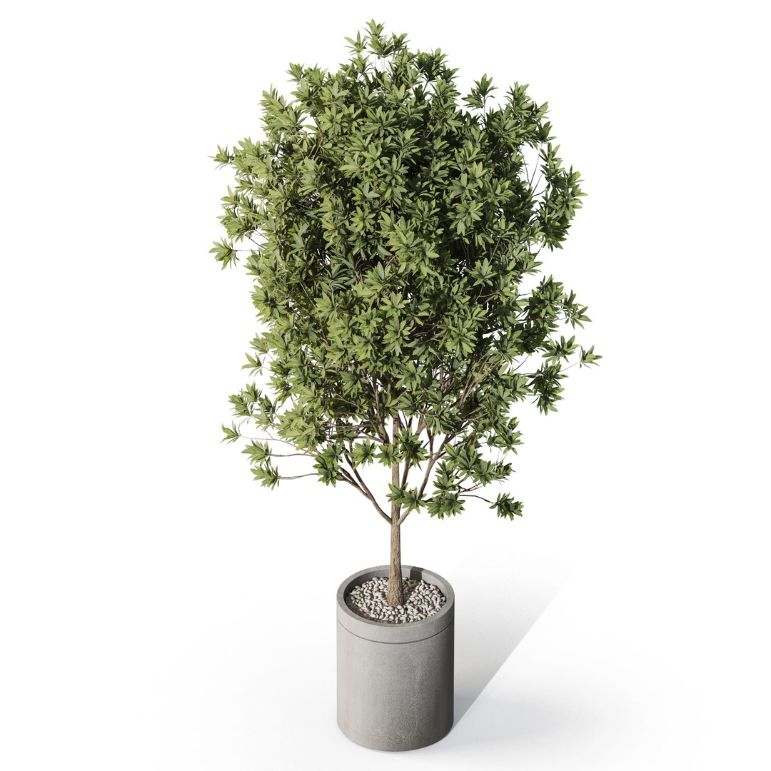 3D Plants Collection 1096 - TurboSquid 2248918